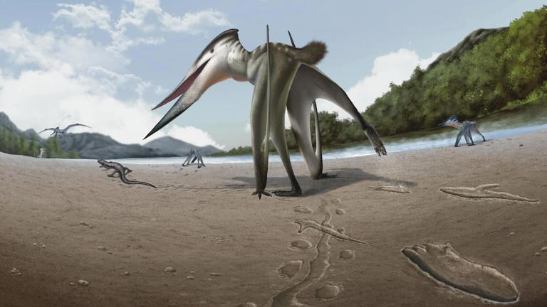 Ancient footprints suggest a flying predator was chasing prey on land