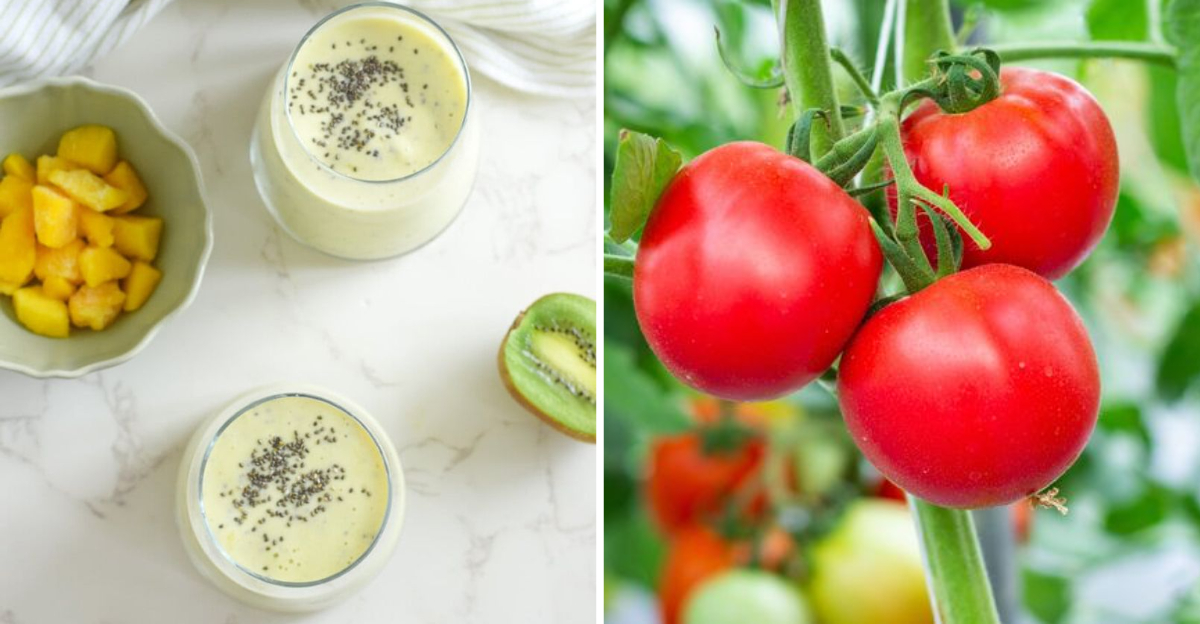 15 collagen boosting foods to eat instead of taking a supplement