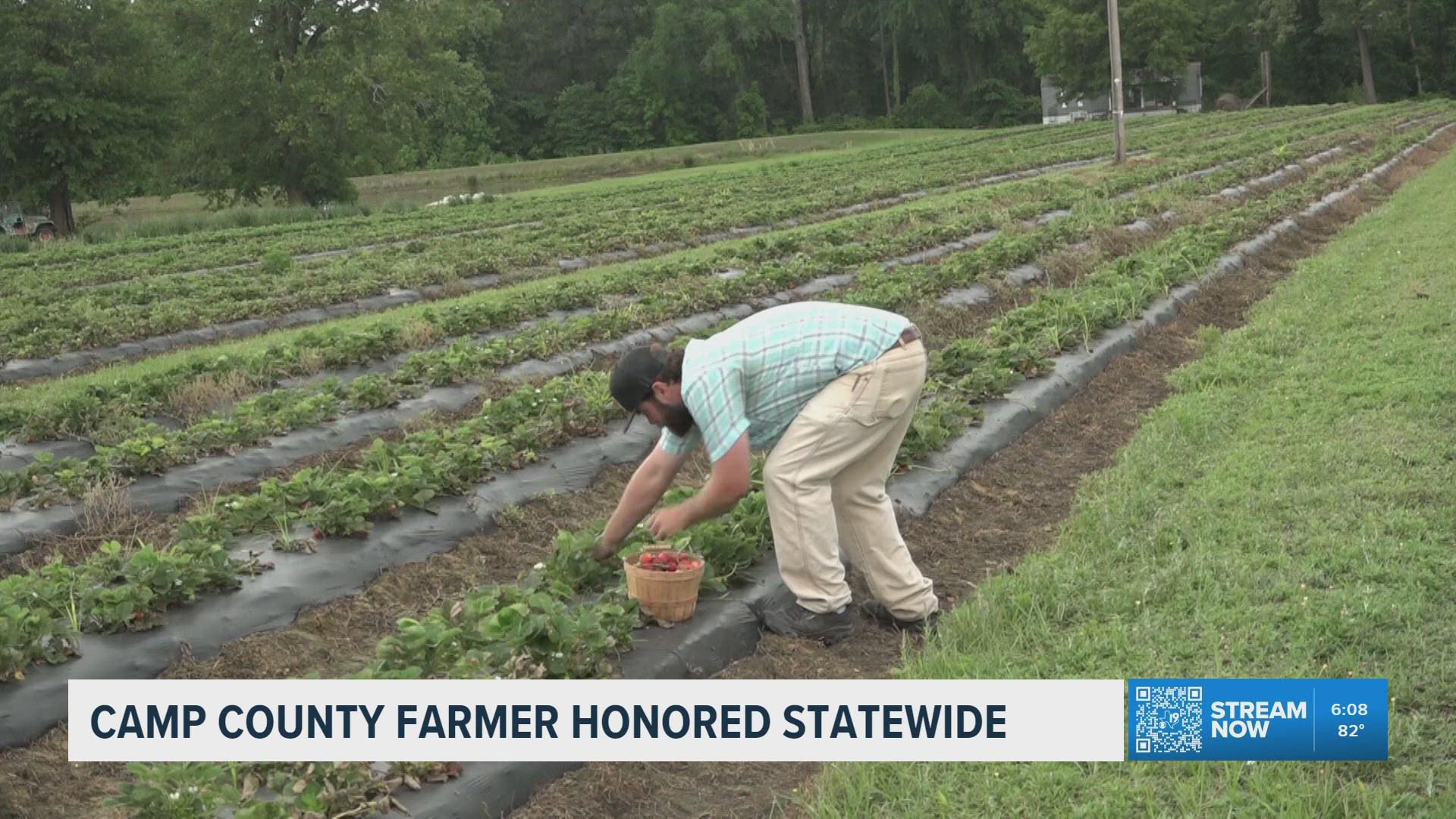 Camp County peach farmer earns state recognition while preserving ...
