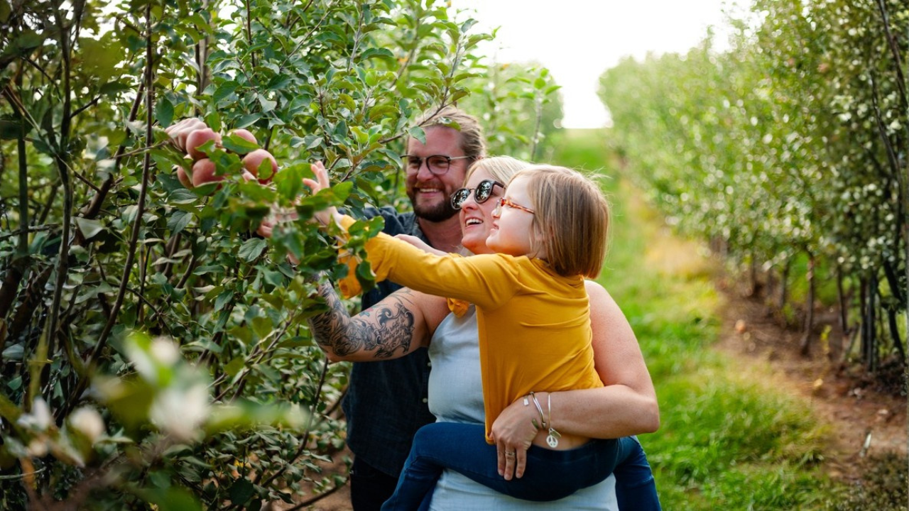 13 spring family outings with fruit picking that are worth the trip