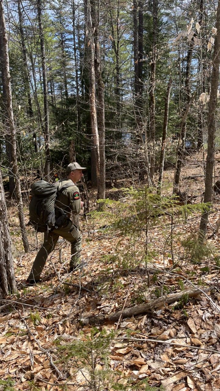 Searchers return to woods decade after Troy hunter vanished