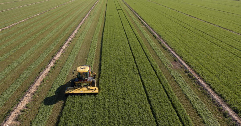 Bureaucrats can't invoke free speech rights to shut down farmer's ...