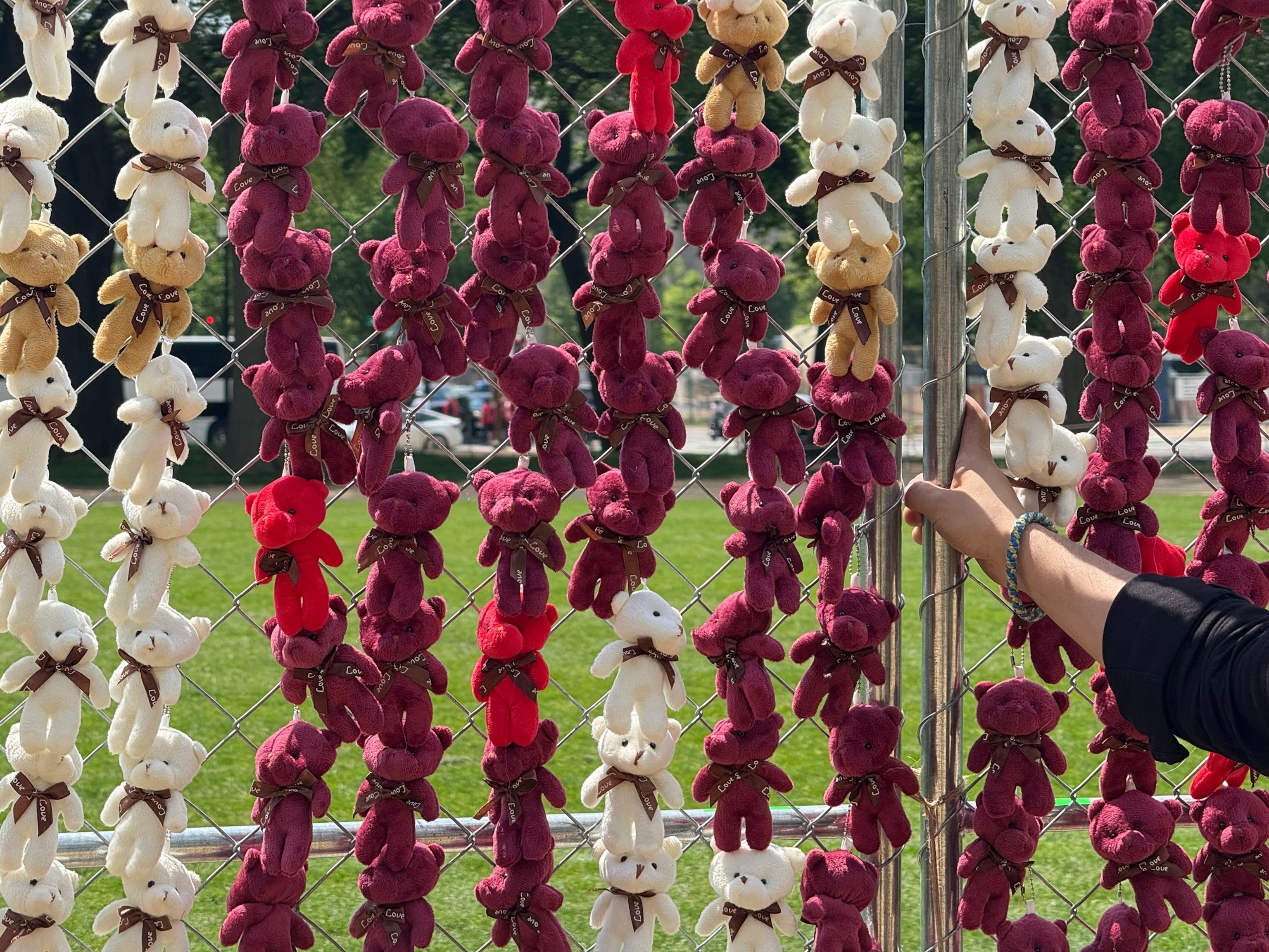 Advocates spotlight missing Ukrainian children with thousands of teddy ...