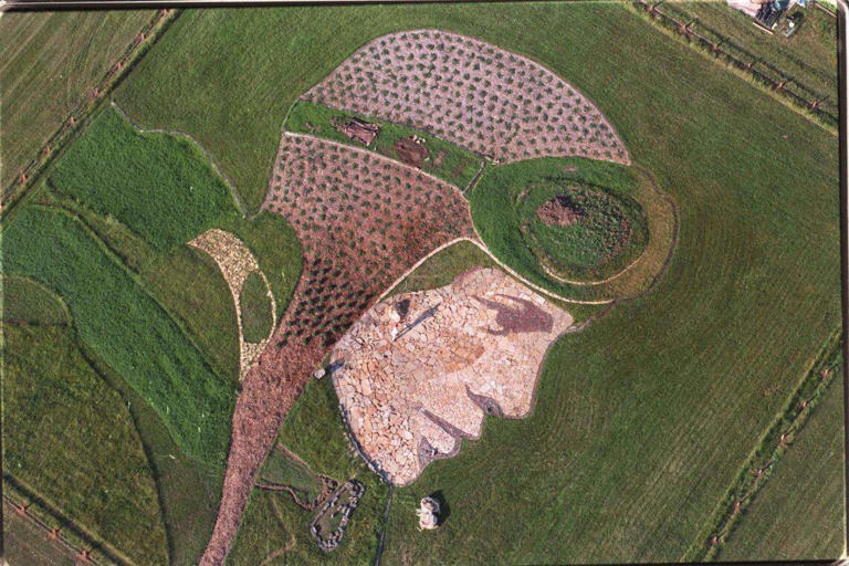 Stan Herd crop art of giant Algerian flag will welcome World Cup team ...