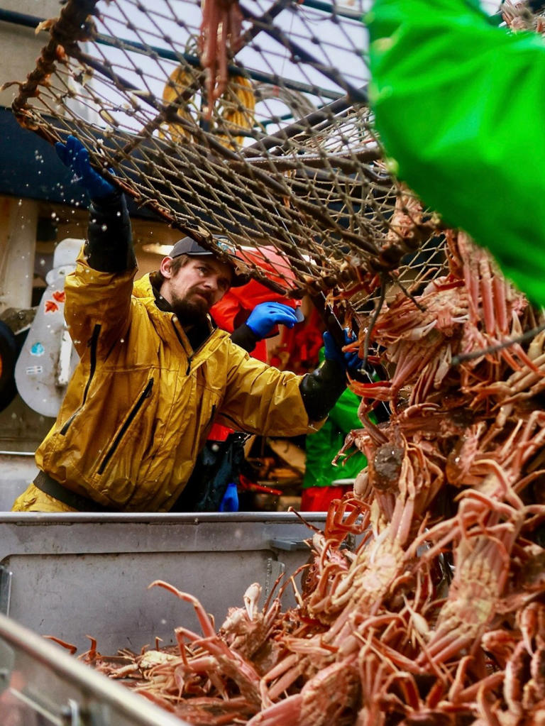 How 'Deadliest Catch' will honor late crew member Todd Meadows after ...
