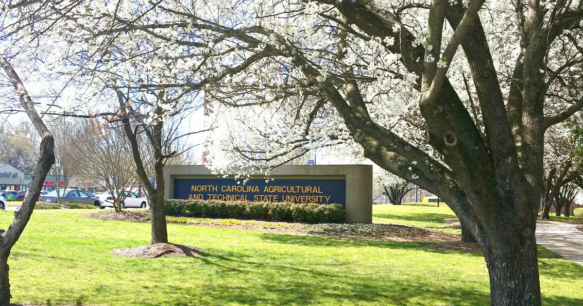 State auditor: NC A&T gave millions to students because of connections ...