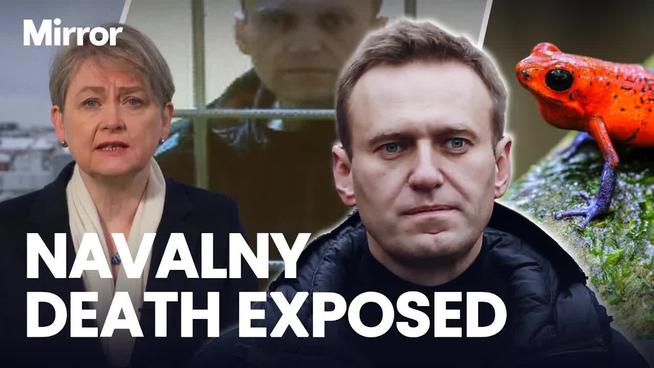 Deadly dart frog poison 200x stronger than morphine killed Navalny, UK ...
