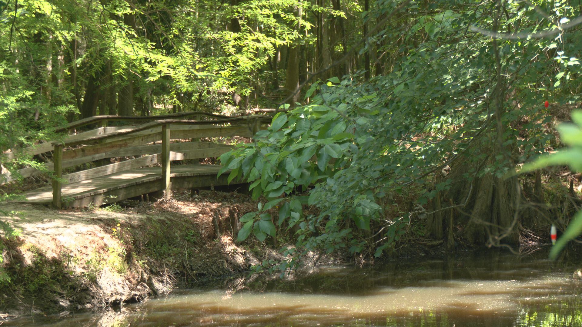 Florence County, city plan Jeffries Creek restoration after sewage overflow