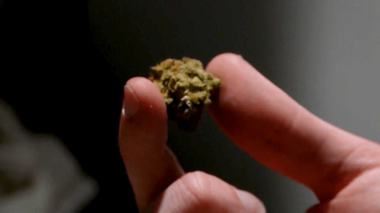 Federal government’s marijuana reclassification opens doors for Alabama ...