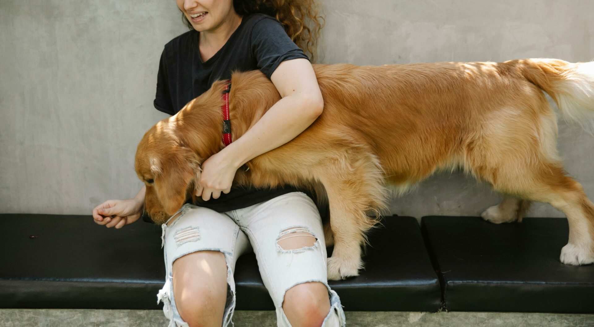 13 unbelievable facts about dog behavior that will blow your mind