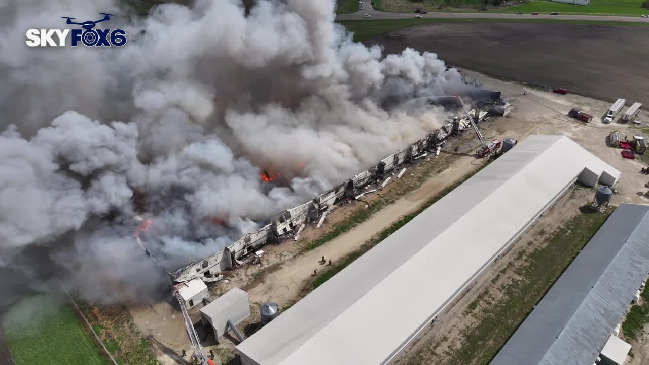 Palmyra egg farm fire adds to concerns amid bird flu issues