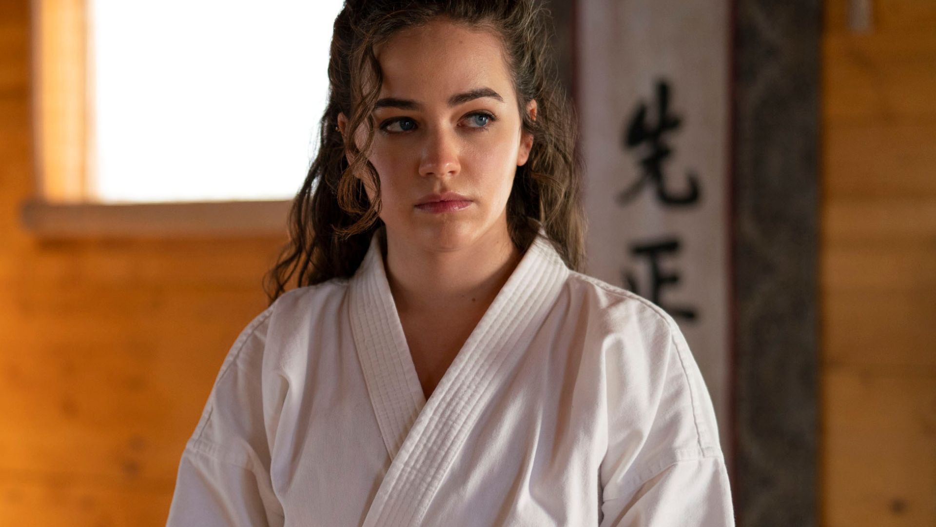 'Karate Kid: Legends' didn't keep the franchise alive after 'Cobra Kai ...