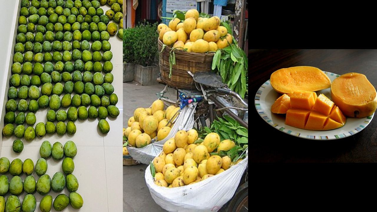 Lesser-known mango varieties in India beyond Alphonso and how they ...