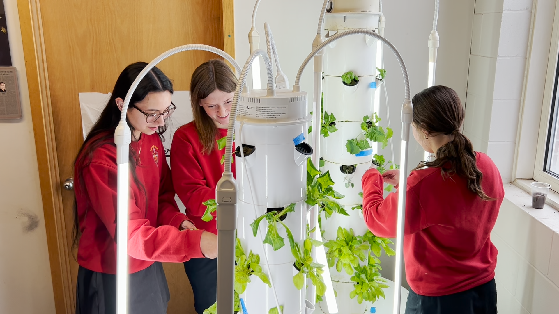 Nebraska school earns $2,500 to improve classroom-to-table nutrition ...