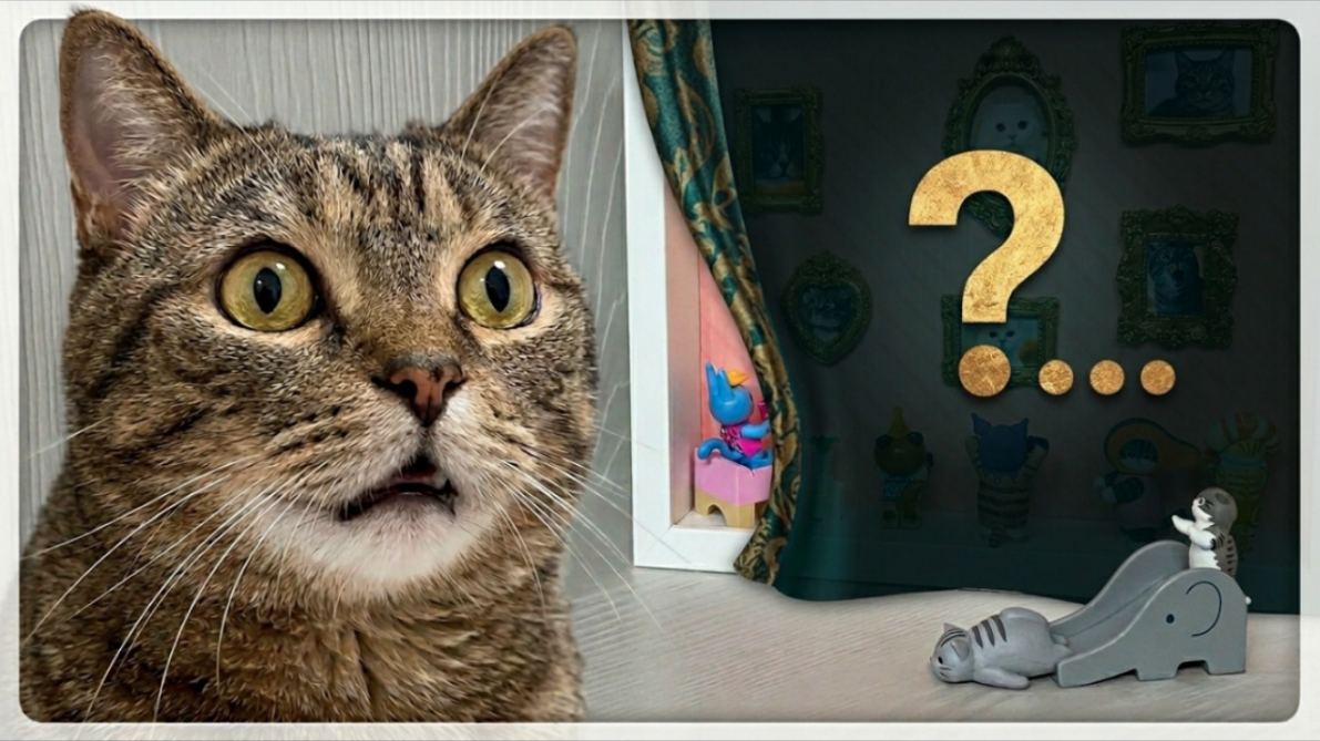 DIY mini cat gallery cute handmade wall art for my cats