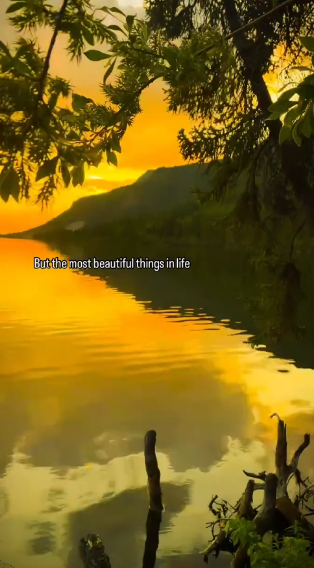 The most beautiful things are not things