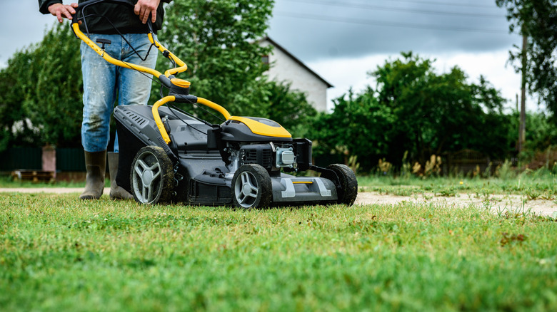 The big mistake you're making while mowing that could kill your trees