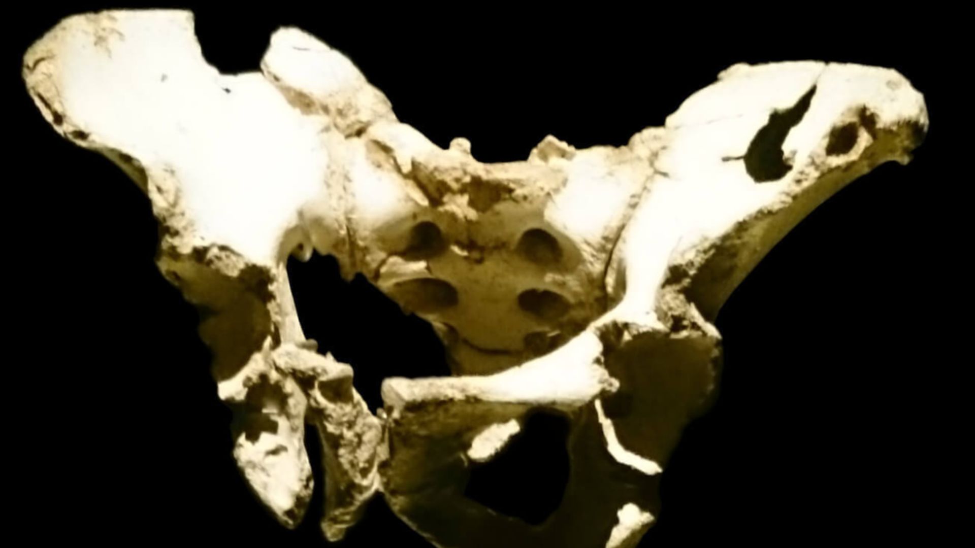 20 prehistoric burial sites that reveal what early humans believed ...