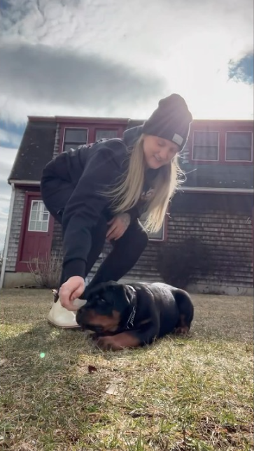 Rottweiler puppy cute & loyal dog moments you can’t resist