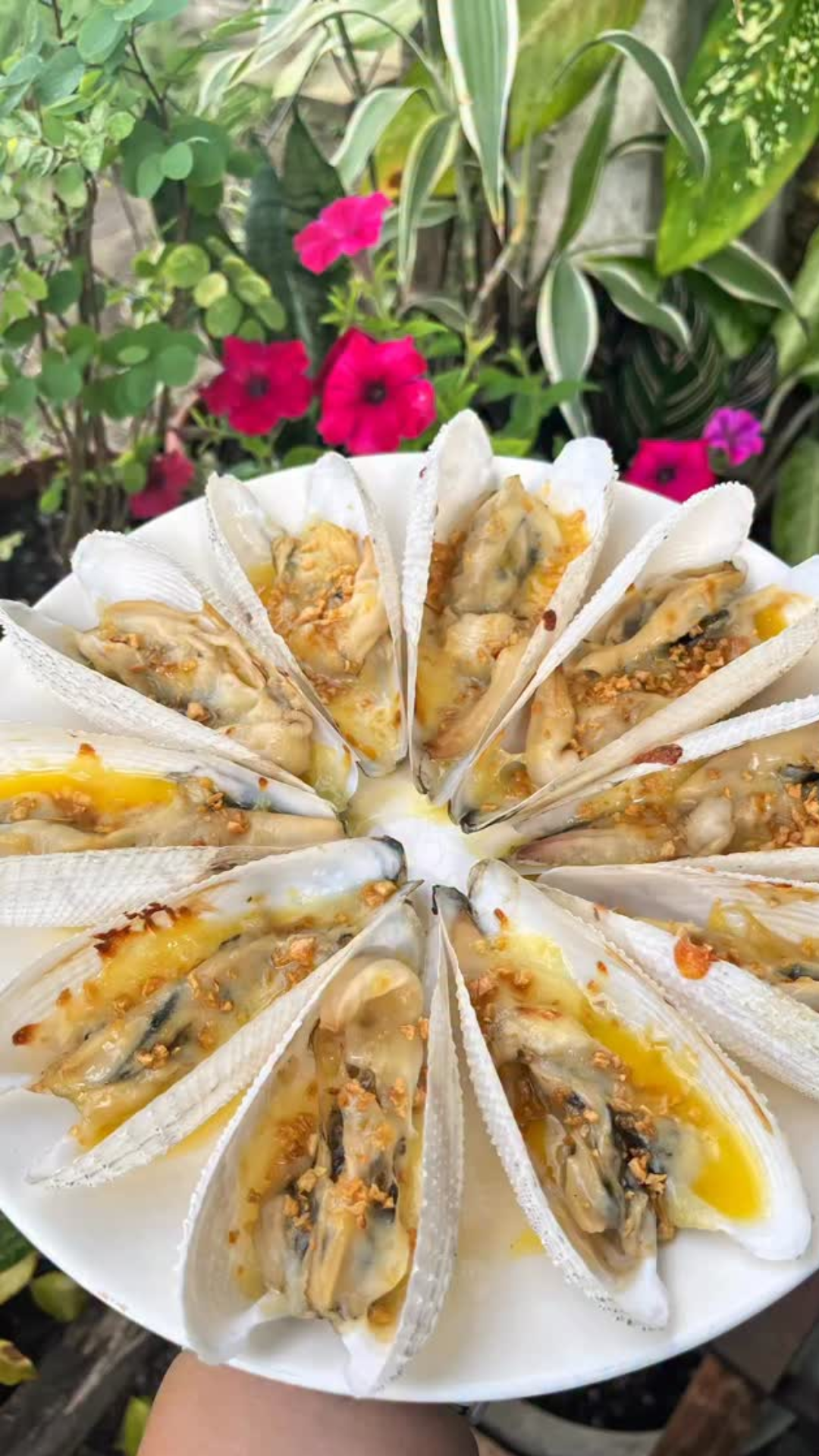 Angel wings clams: Why this seafood dish is so addictive