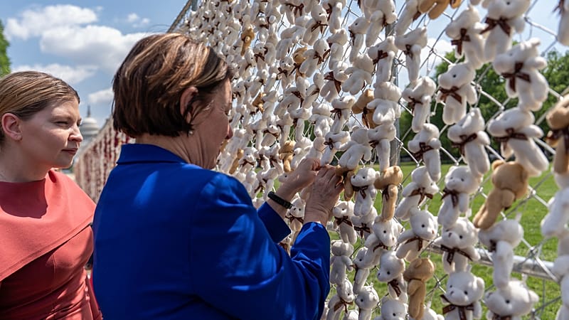 20,000 teddy bears in Washington highlight abducted Ukrainian children