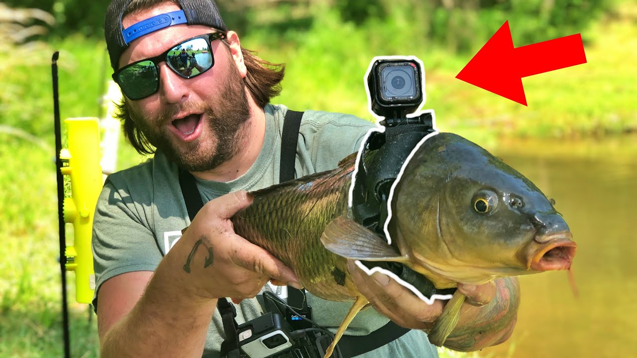 Watch what happened when he strapped GoPro to a fish
