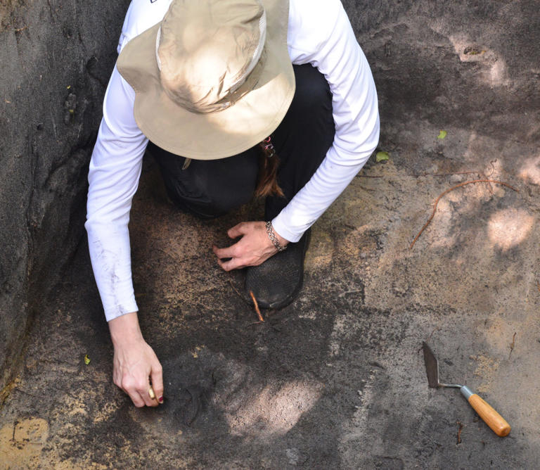 UCF students dig up Native artifacts, pottery at Cape Canaveral Space ...