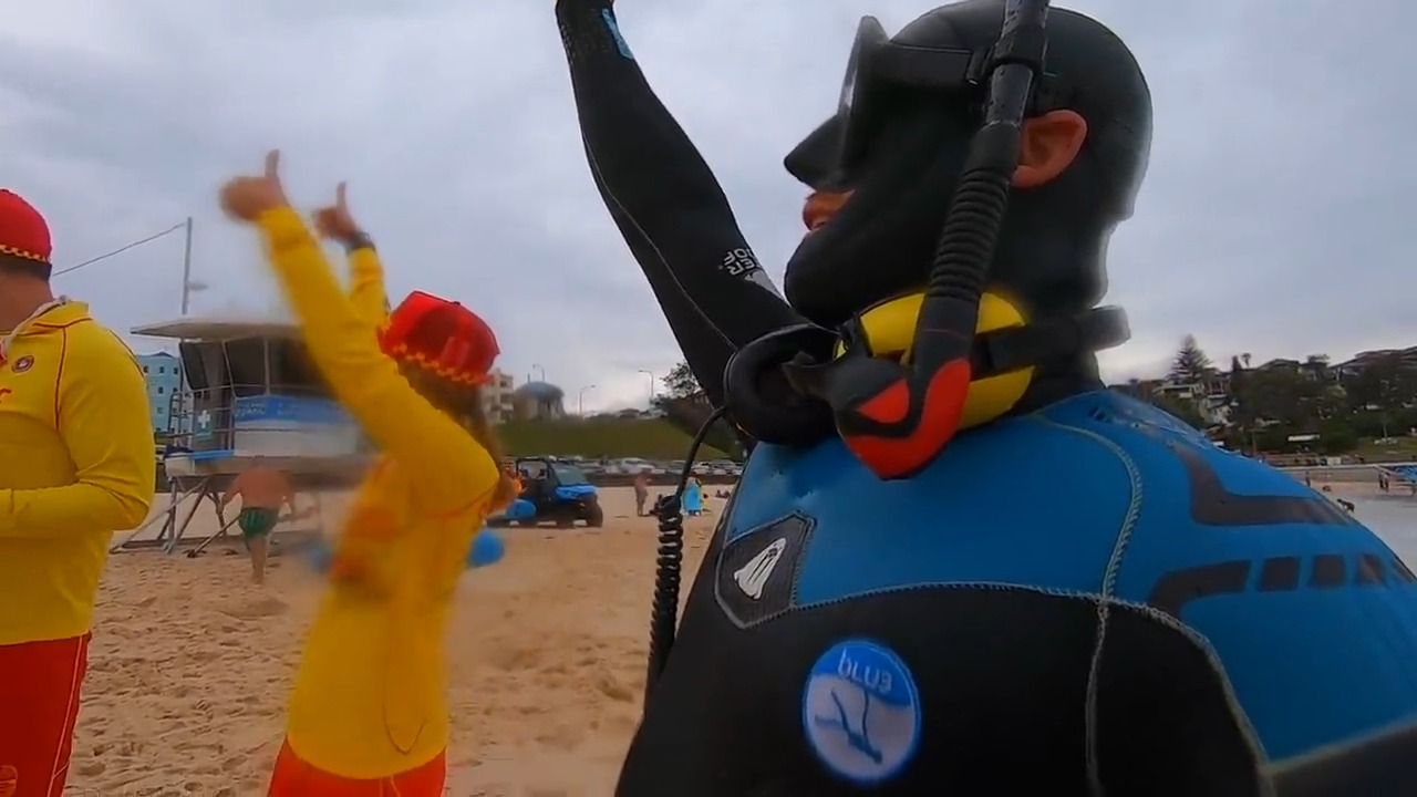 The beach search turned into a rescue when a possum ended up near heavy ...