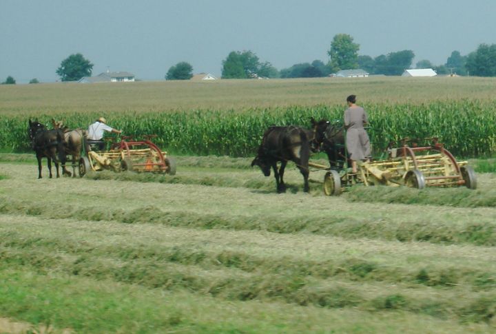 10 realities of life inside an Amish home