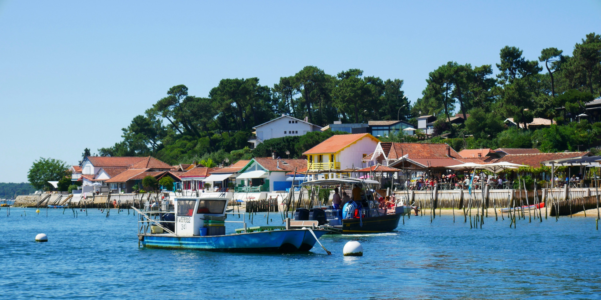 Sitemapcdatahttpsvo1kedriinfolaura Smet Cap Ferret