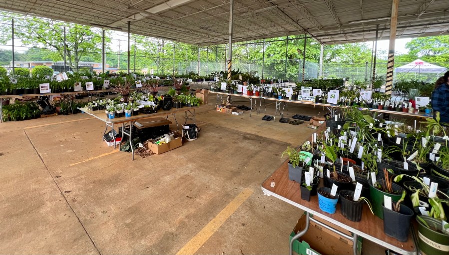 Greater Greenville Master Gardeners hold annual plant sale in new location