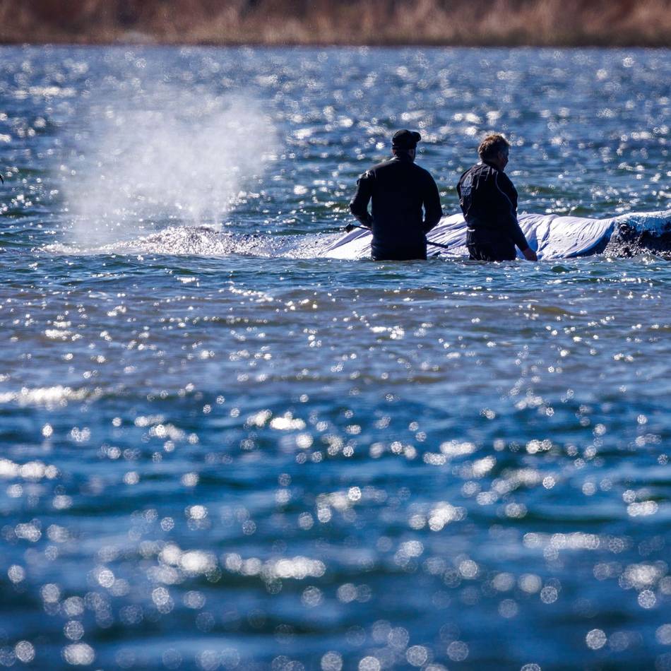 Im Walrettungsteam sind auch Influencer, AfD-Sympathisanten und Islamfeinde