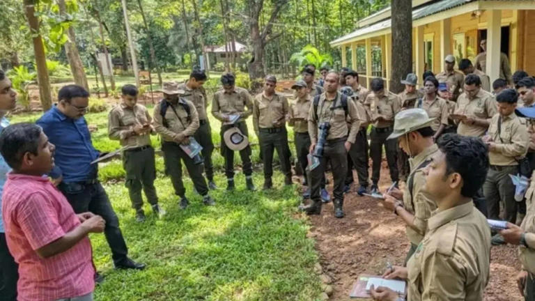 UPSSSC forest guard exam 2026: 708 vacancies announced, check complete ...