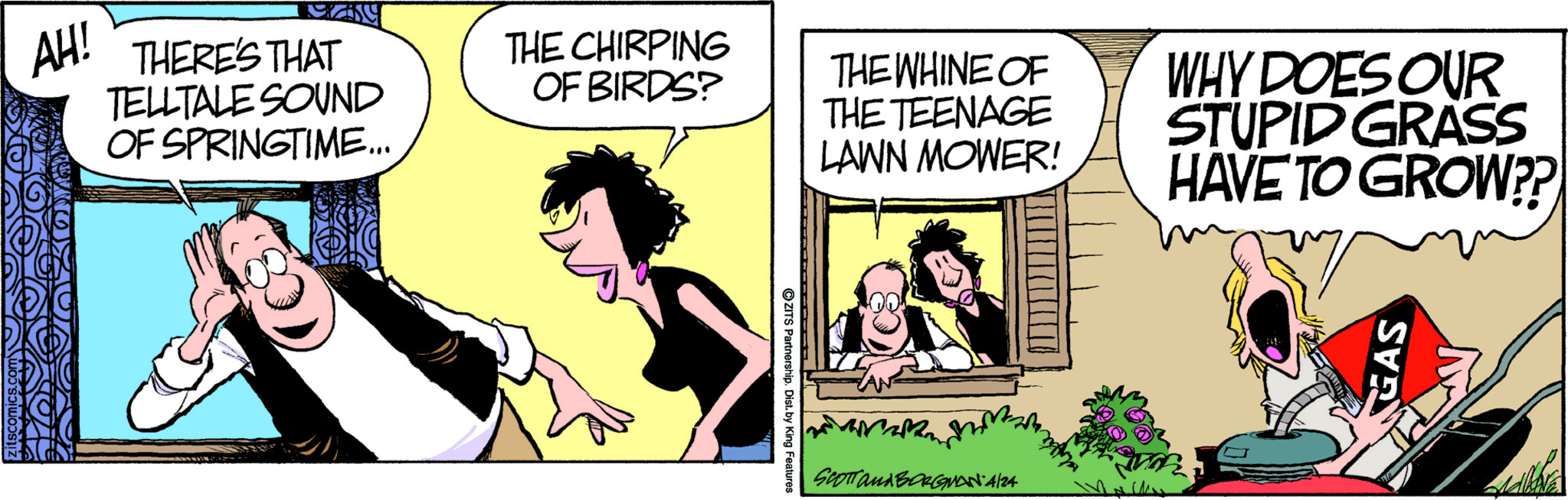 Zits by Jerry Scott and Jim Borgman
