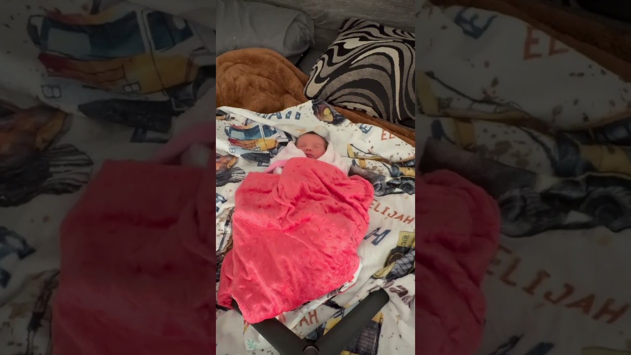 No one was harmed in this video