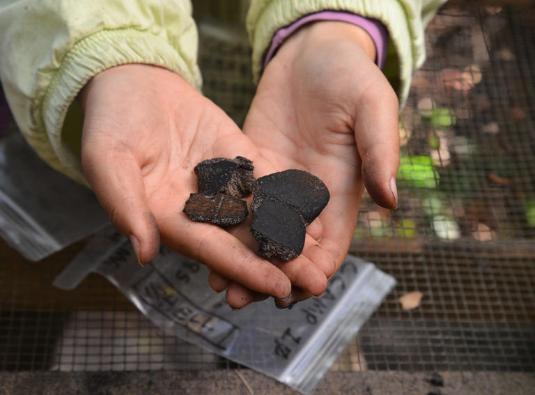 UCF students dig up Native artifacts, pottery at Cape Canaveral Space ...