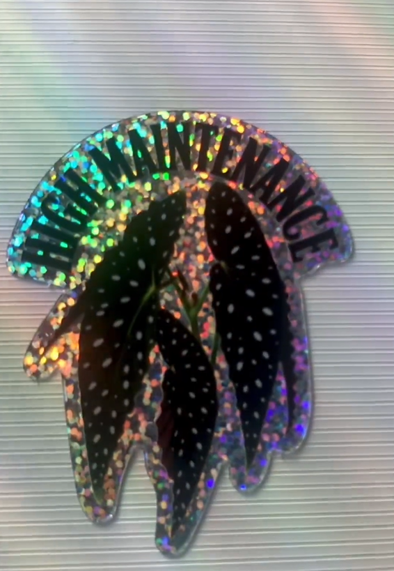 New plant stickers design inspiration for houseplants and begonia lovers