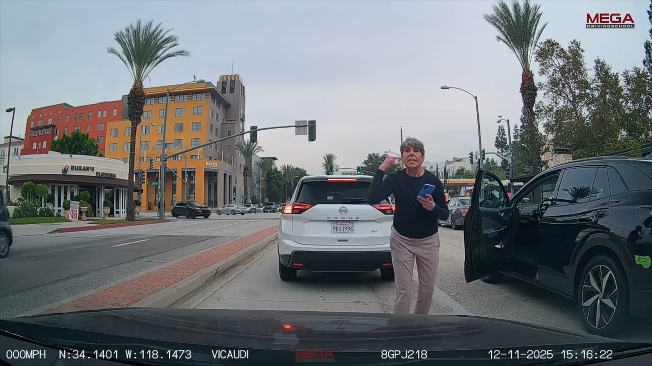 The road became a stage when this driver completely snapped