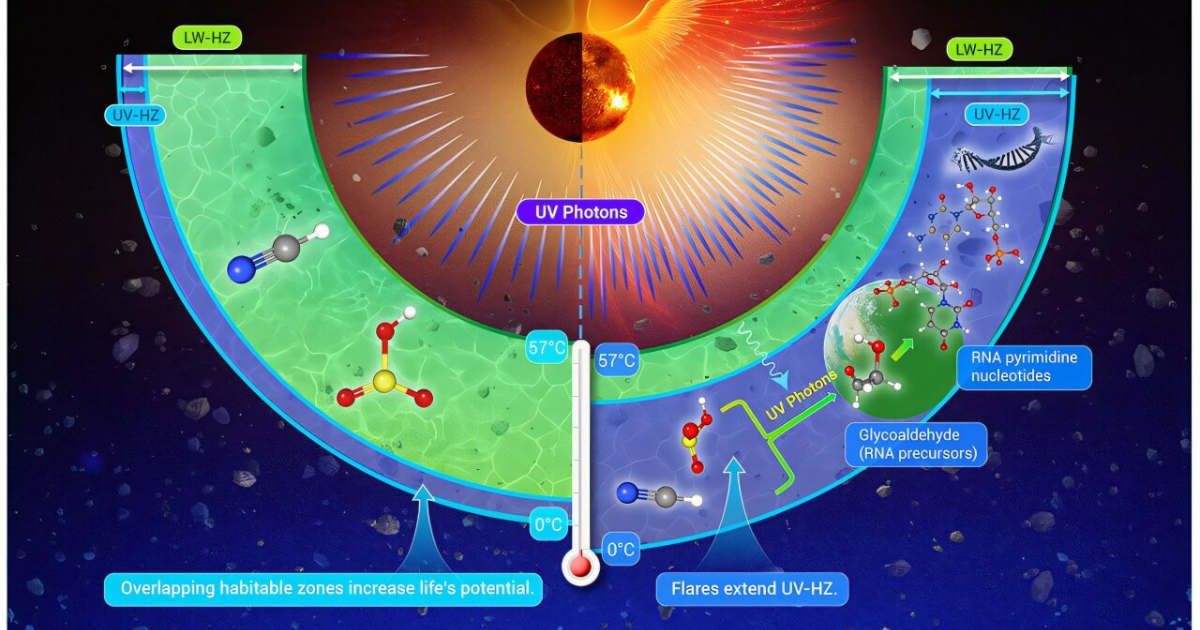 Ultraviolet radiation from stellar flares might increase chances for ...
