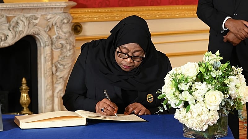 Tanzania vows constitutional reform following post-election bloodshed