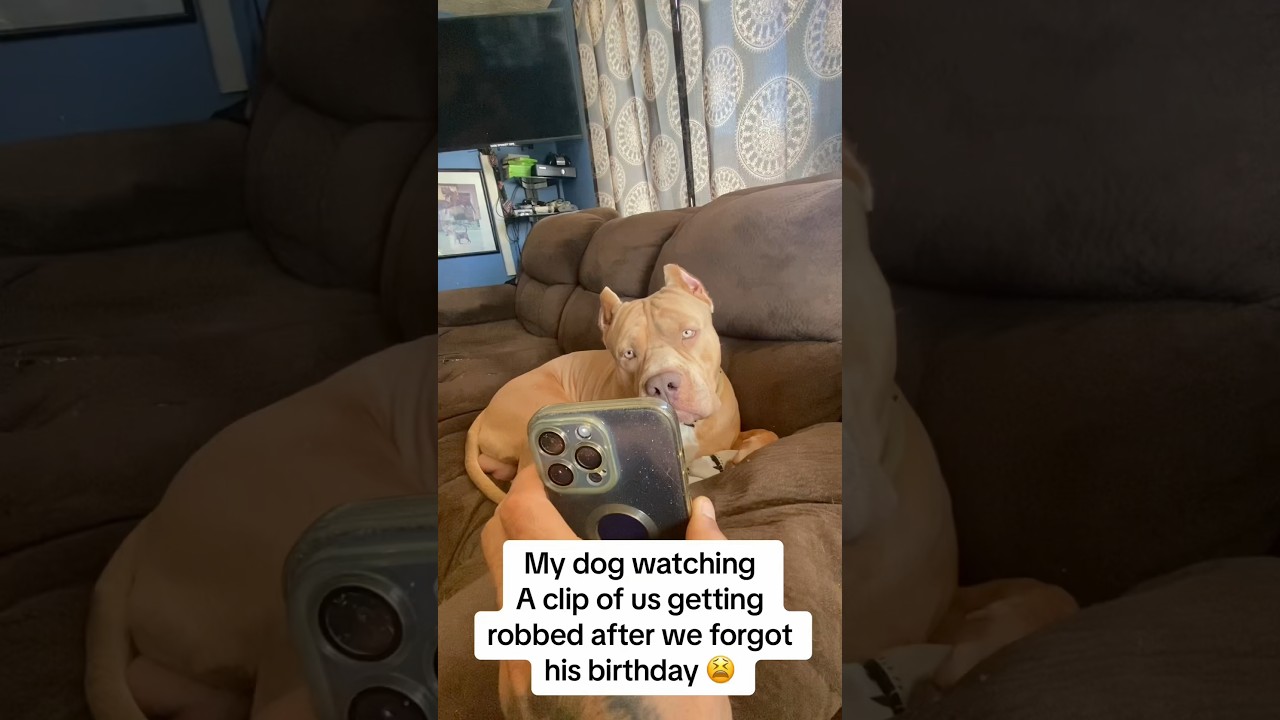 My dog let this happen and I regret it