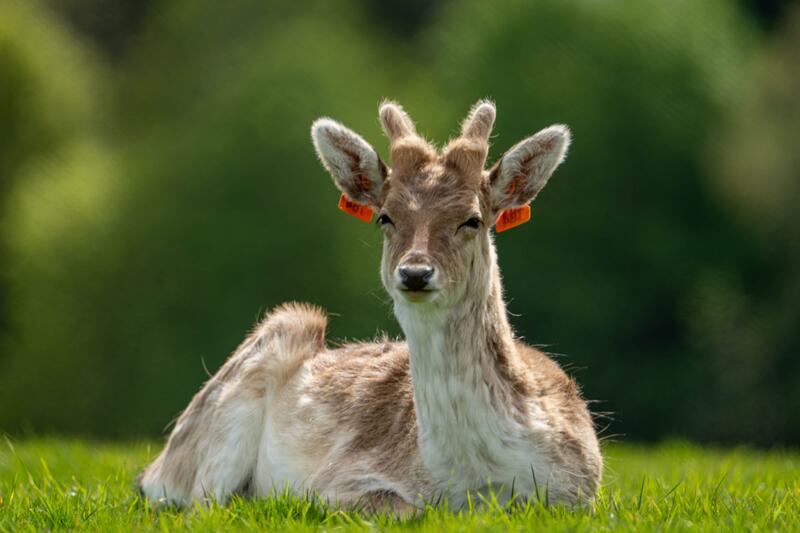 The weather is looking good for the weekend, and temperatures could hit ...