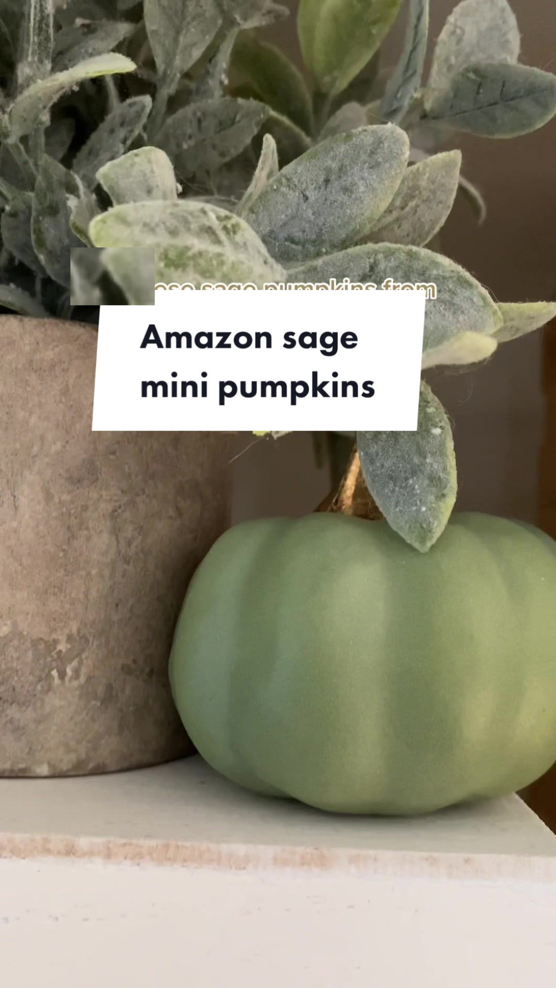 Neutral fall decor ideas using sage green mini pumpkins