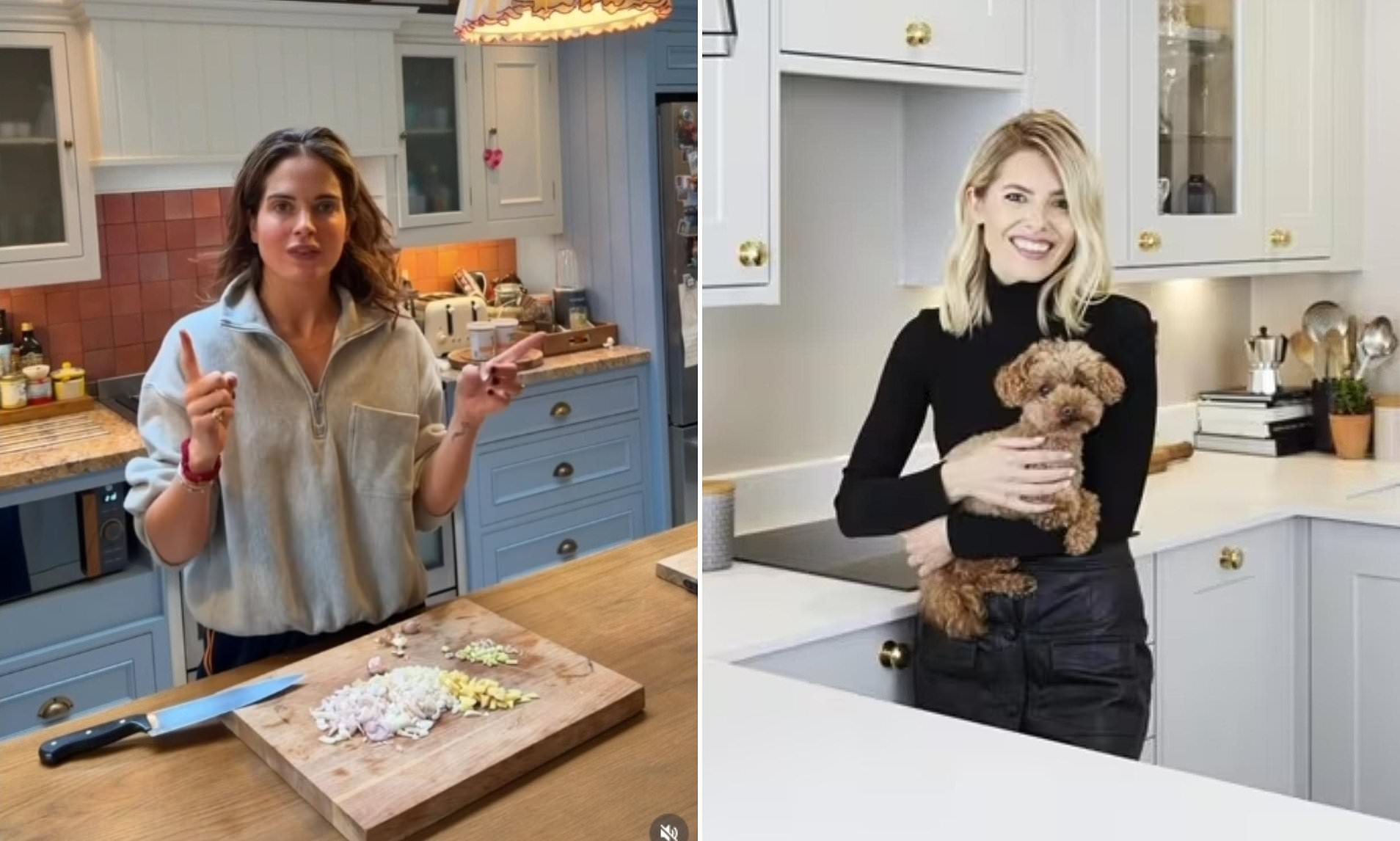 Do YOU have middle-class kitchen regret? The trendy accessories that ...