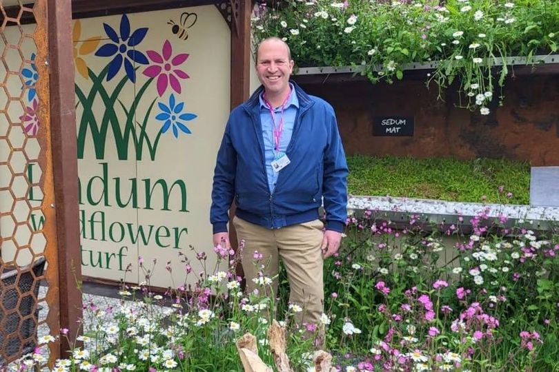 The €100,000 garden mistake most homeowners make — and how to fix it