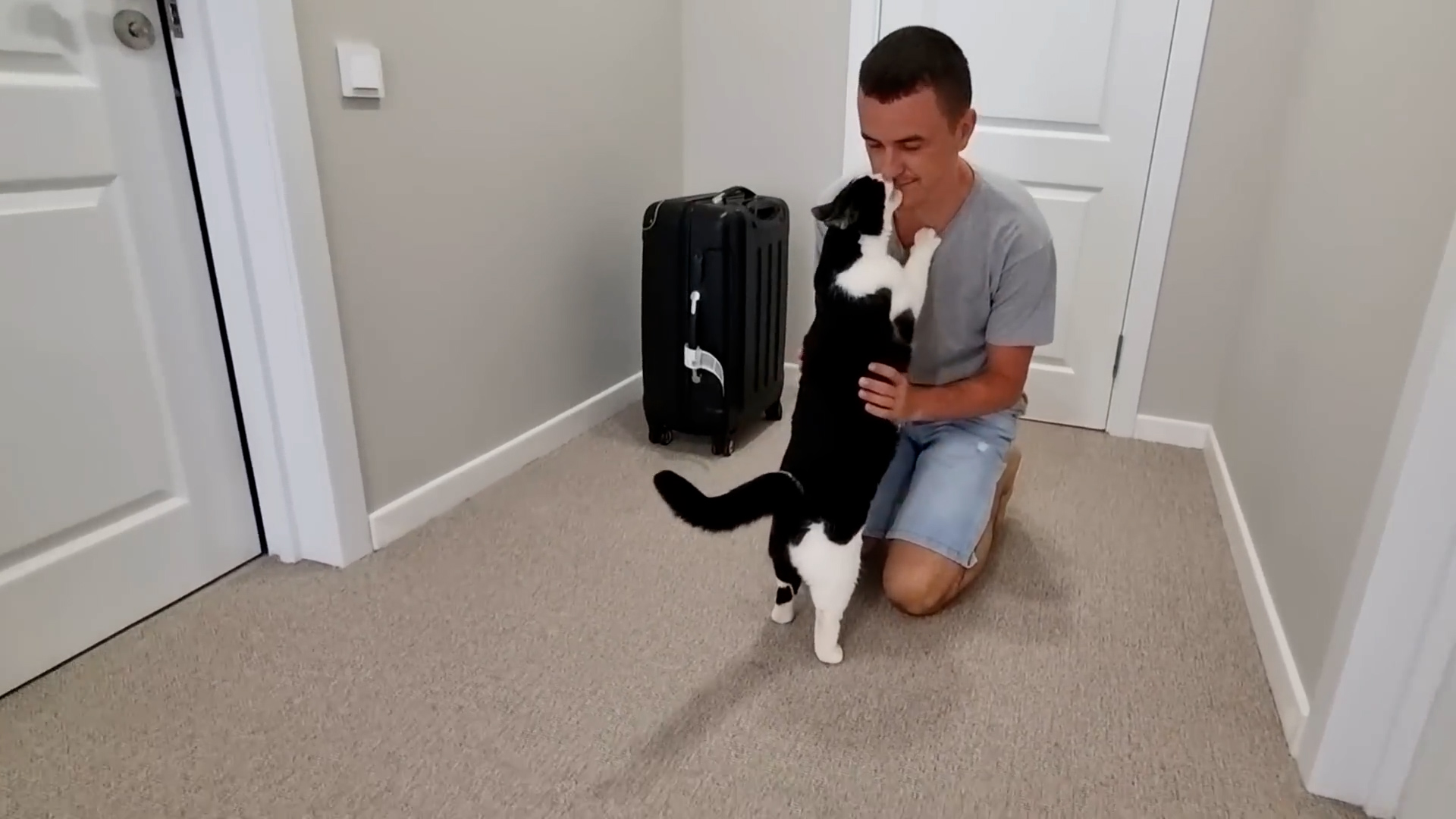 Does Cat Remember After One and a Half Months Apart