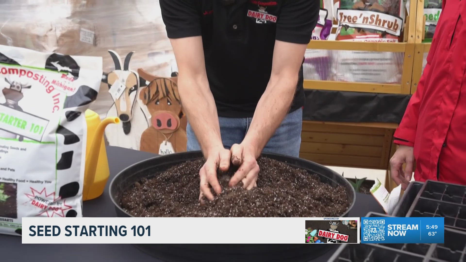 Seed starting 101 | What to know and how to begin