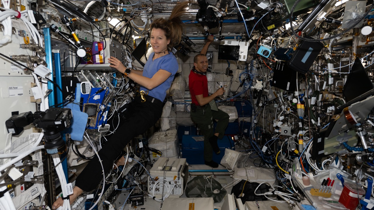 ISS Expedition 74 studies stem cells and DNA nanotherapy for space health