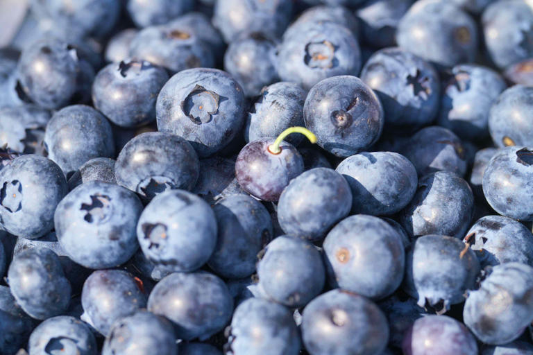 Never buy fresh blueberries if you see this