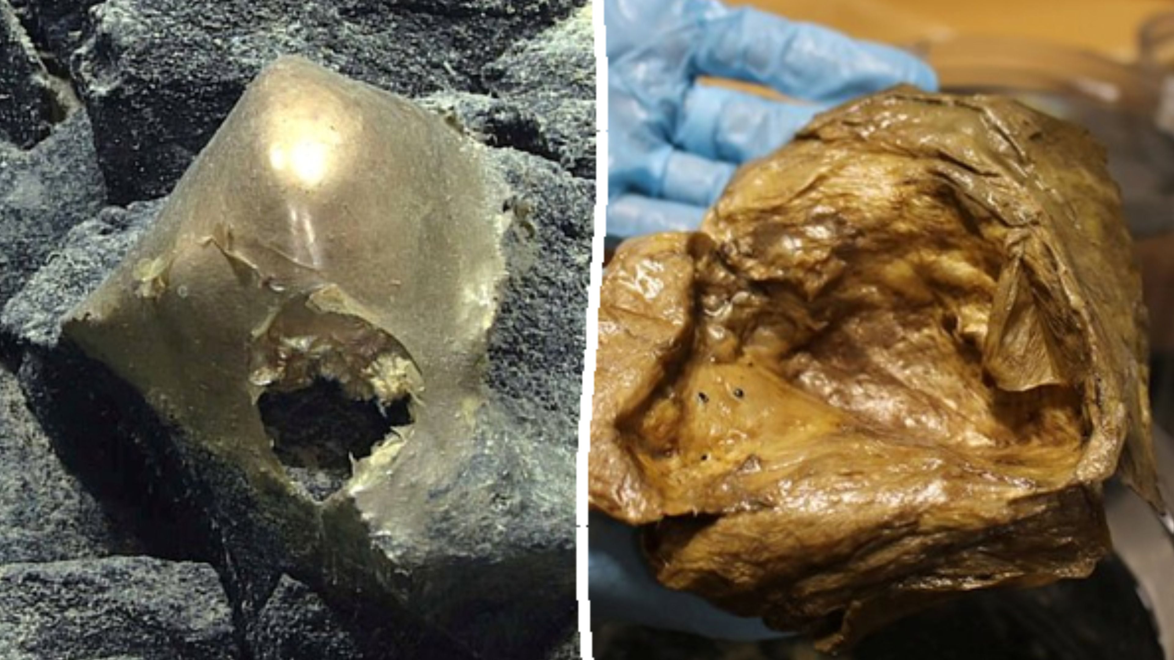 Mystery of deep-sea golden orb finally solved